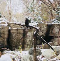 ZooMontana – Billings, Montana