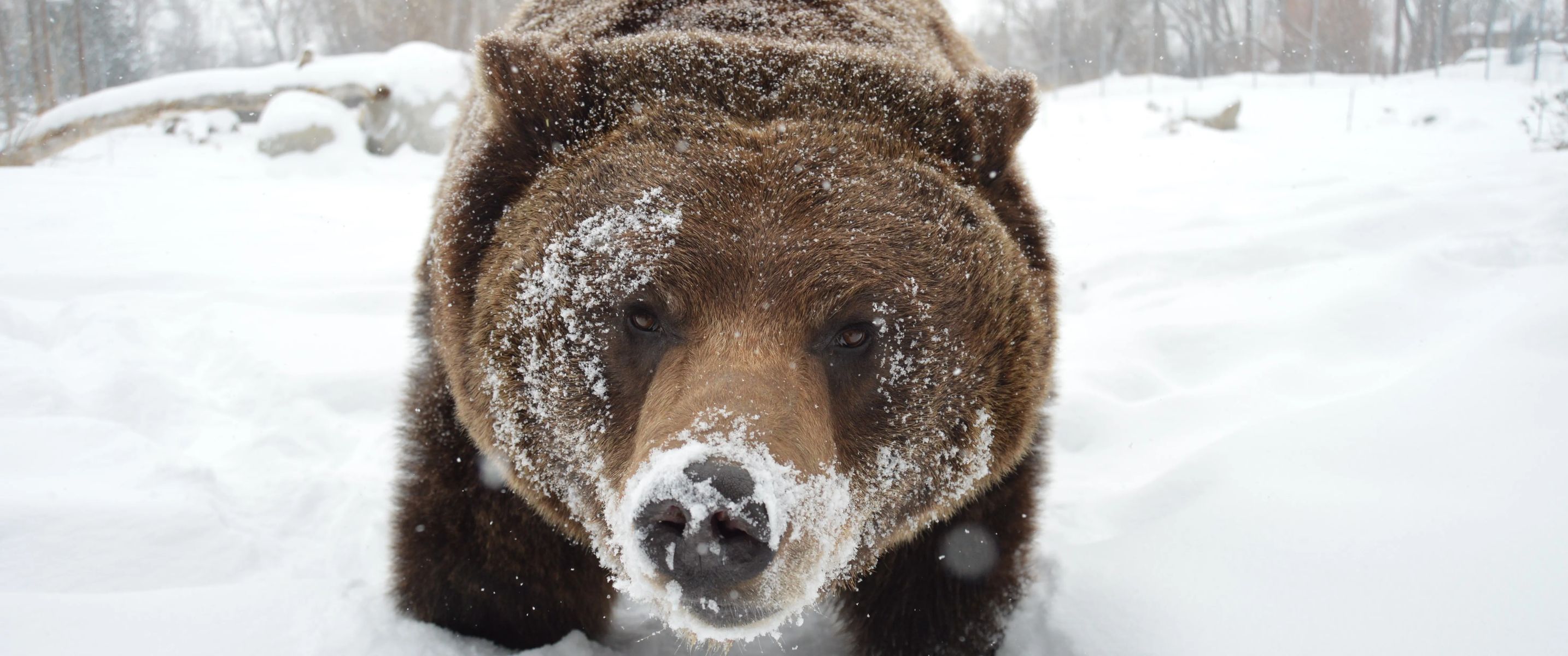 ZooMontana – Billings, Montana