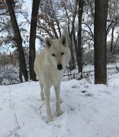 ZooMontana – Billings, Montana