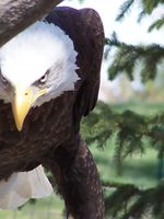 ZooMontana – Billings, Montana